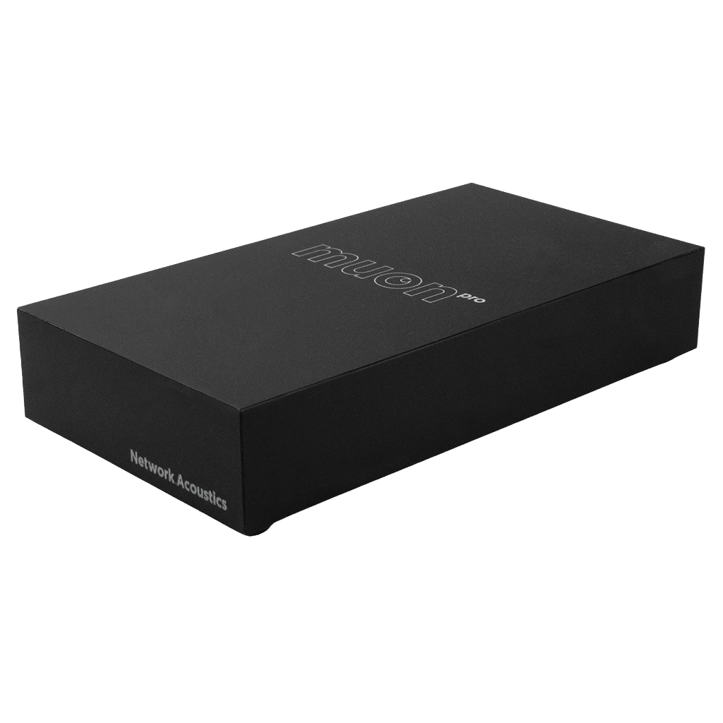 Network Acoustics Ethernet Filter muon Pro schwarz